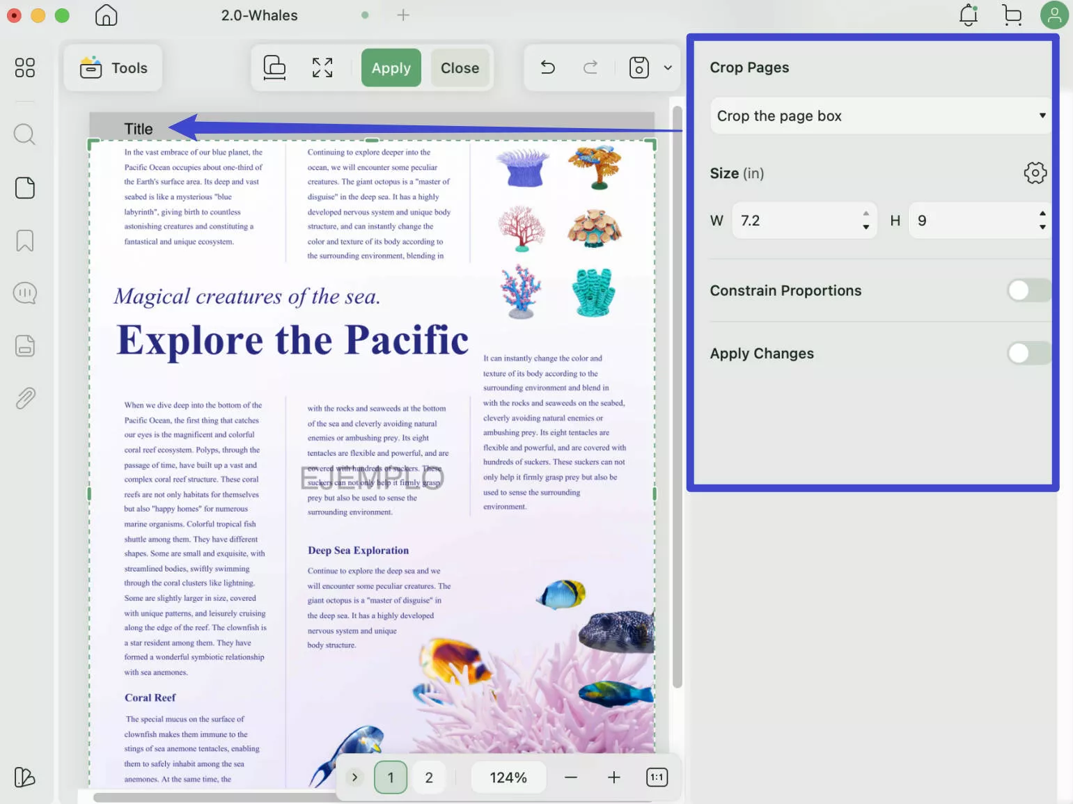 How to Remove Header and Footer from PDF (2 Ways) | UPDF