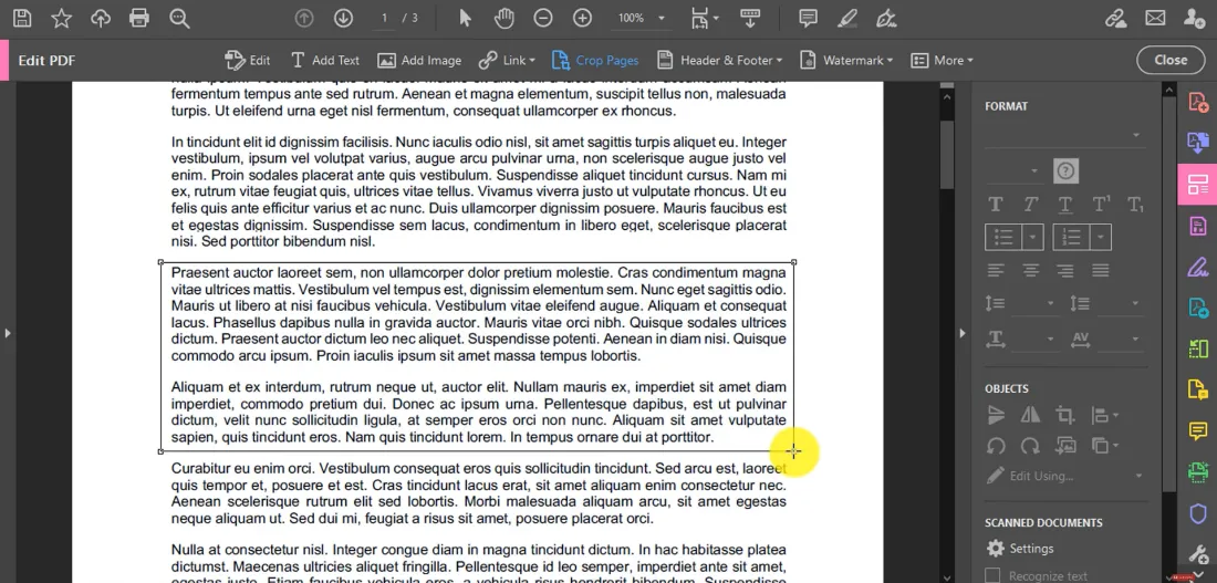 How to Crop PDF in Adobe? (Detailed Guide)